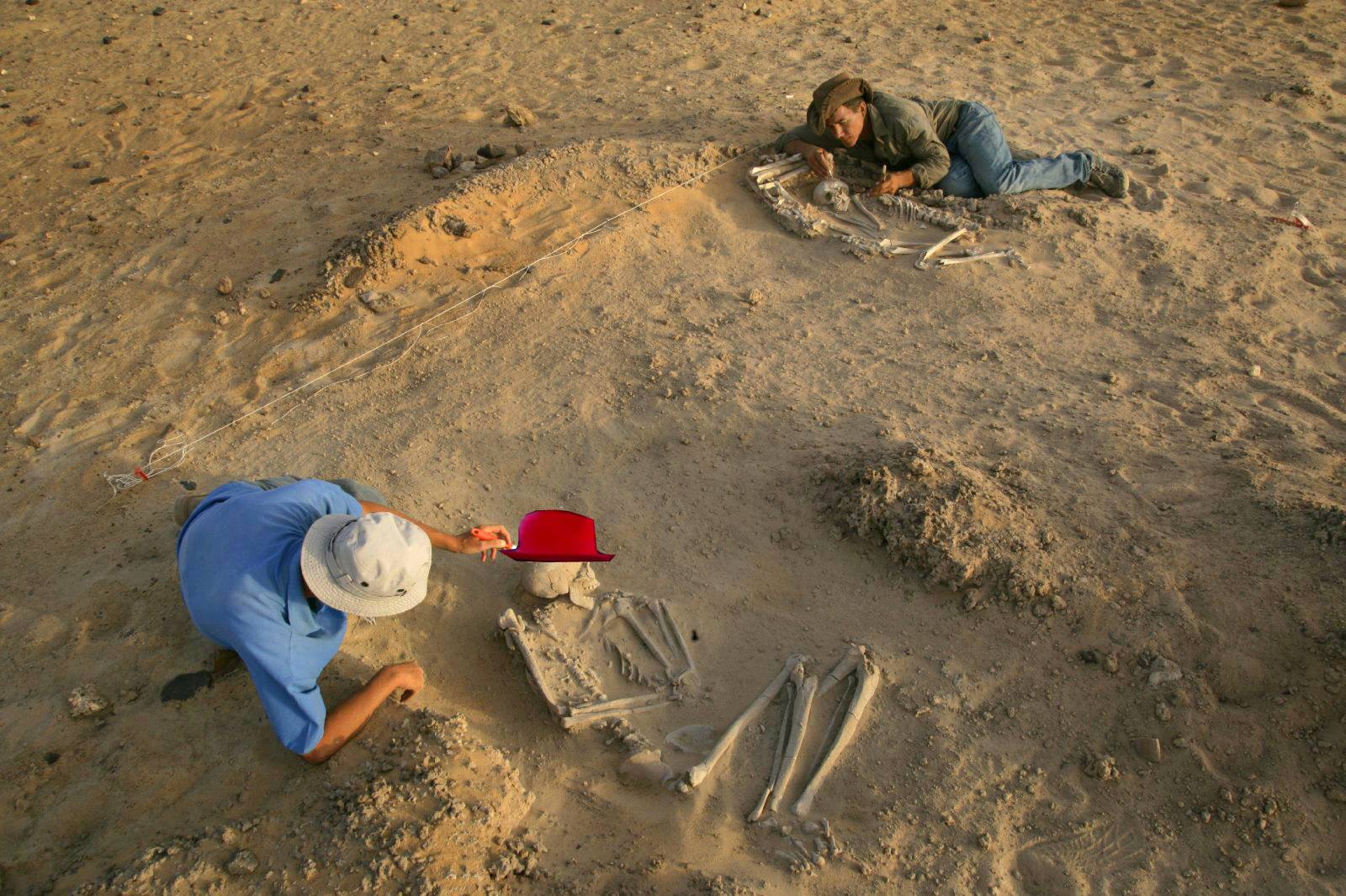 Paleontologists unearth rare Funkasaurus bones in clay