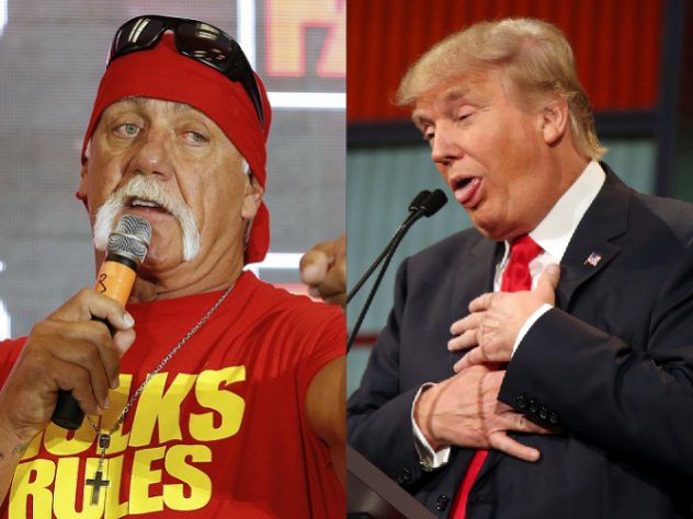 Hulk Hogan officially the second-worst orange-skinned, wispy-haired ...